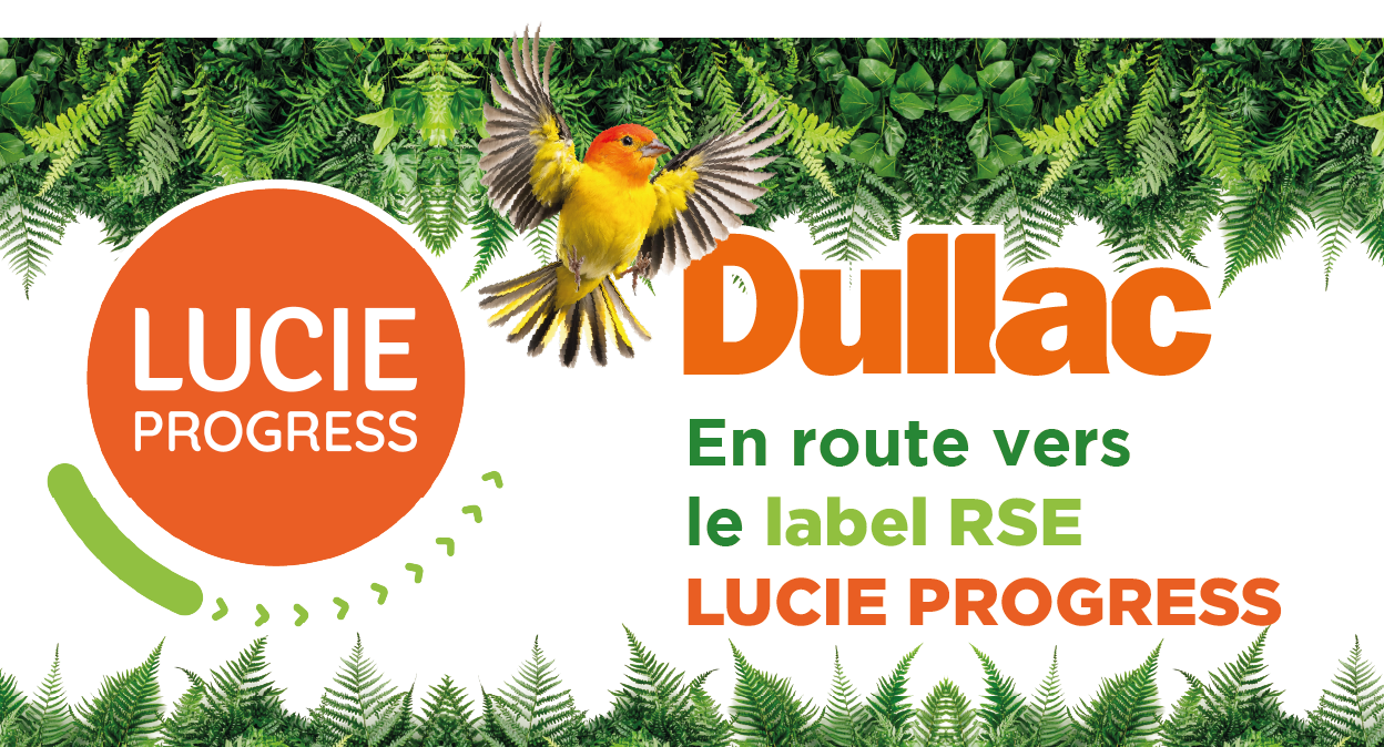 Lucie Progress : La nouvelle étape de note engagement RSE - Blog Dullac